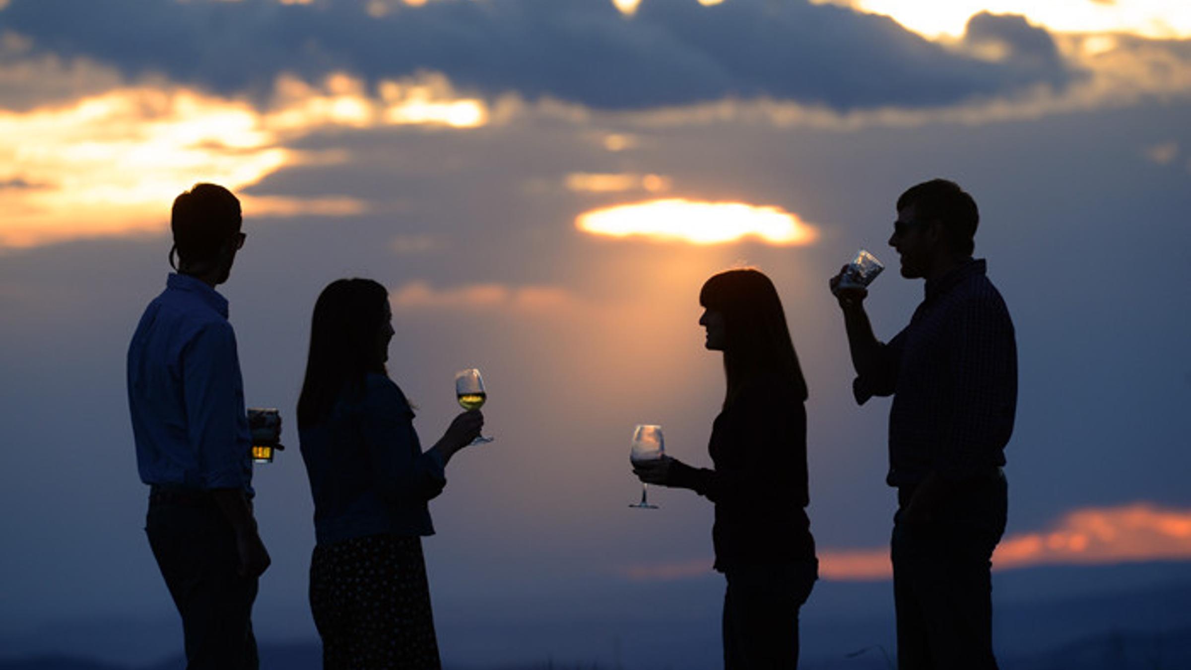 People Drinking Wine Silhouette