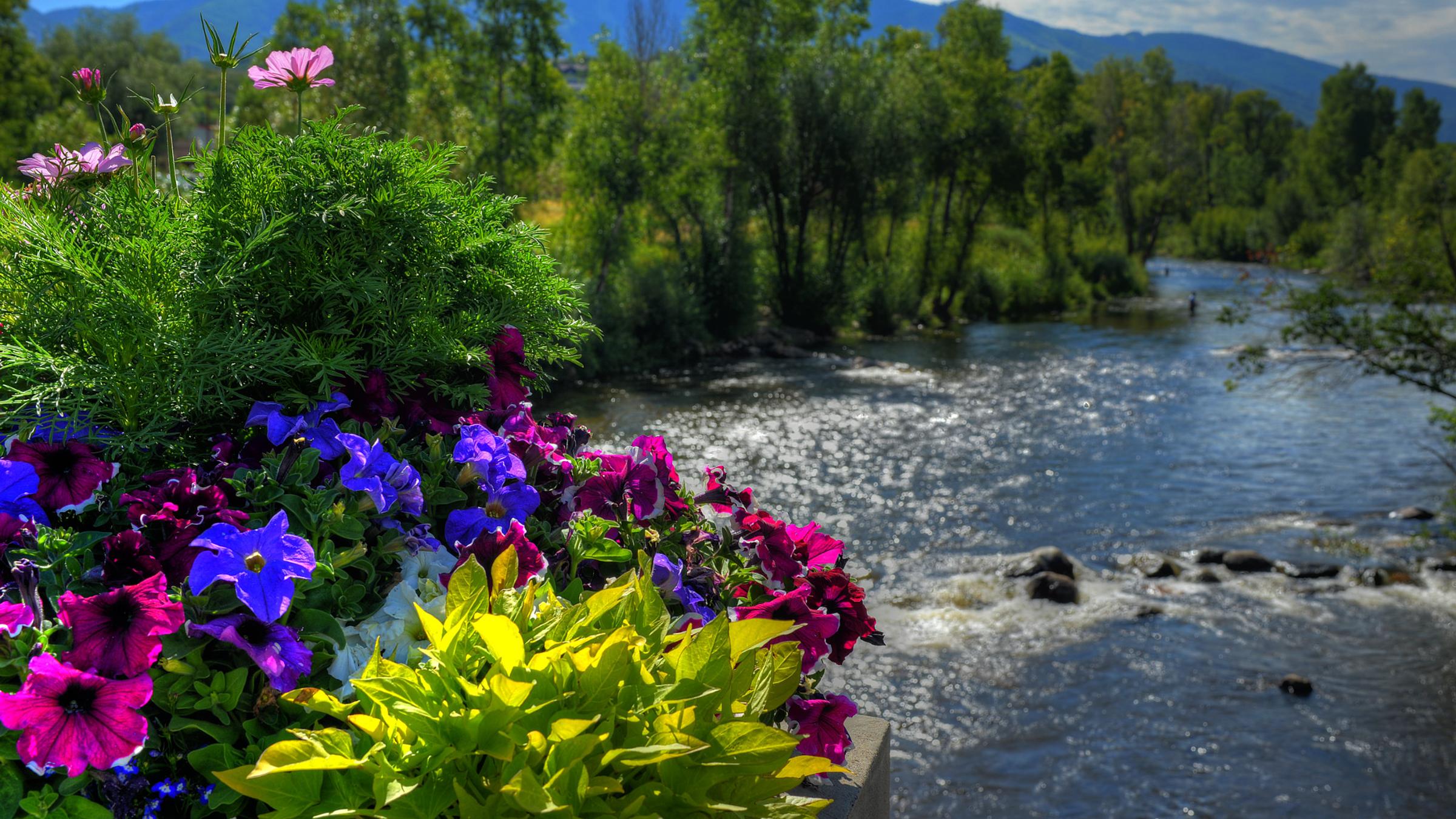 Vacation Activities To Do Around Steamboat Springs, CO